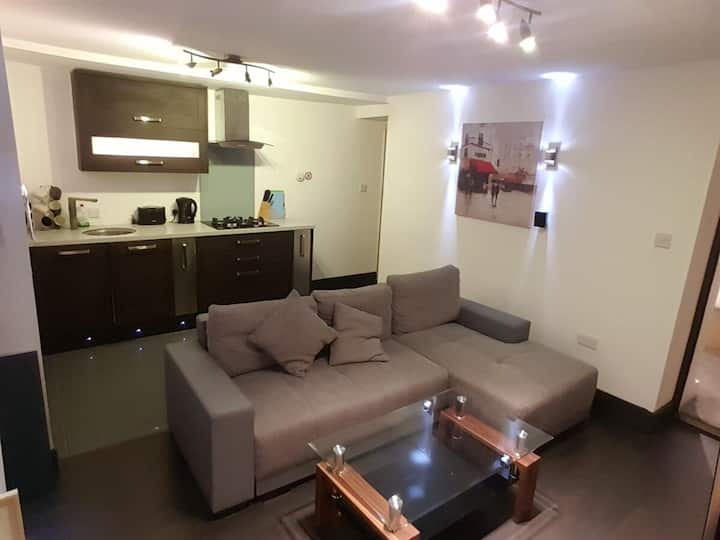 Appartement 1 Chambre (3 Personnes) - Swindon