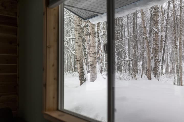 Résidence-moderne-sdb Privée Avec Douche-vue Sur L - Talkeetna