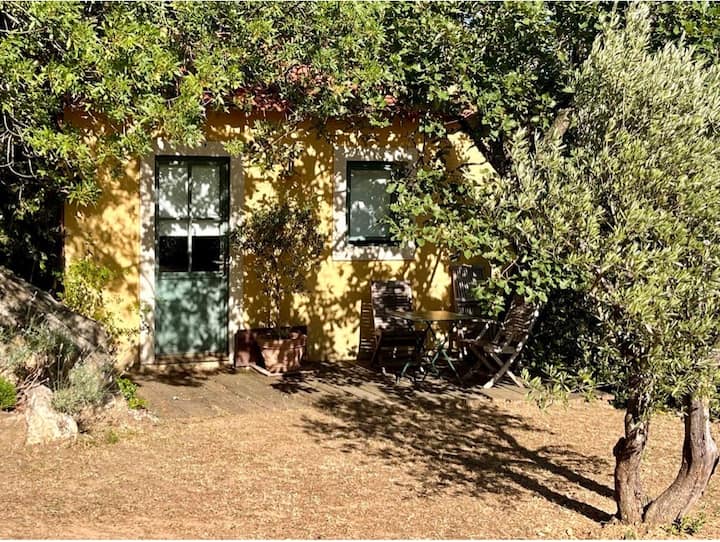 Chambre Du Chêne Blanc - Olargues