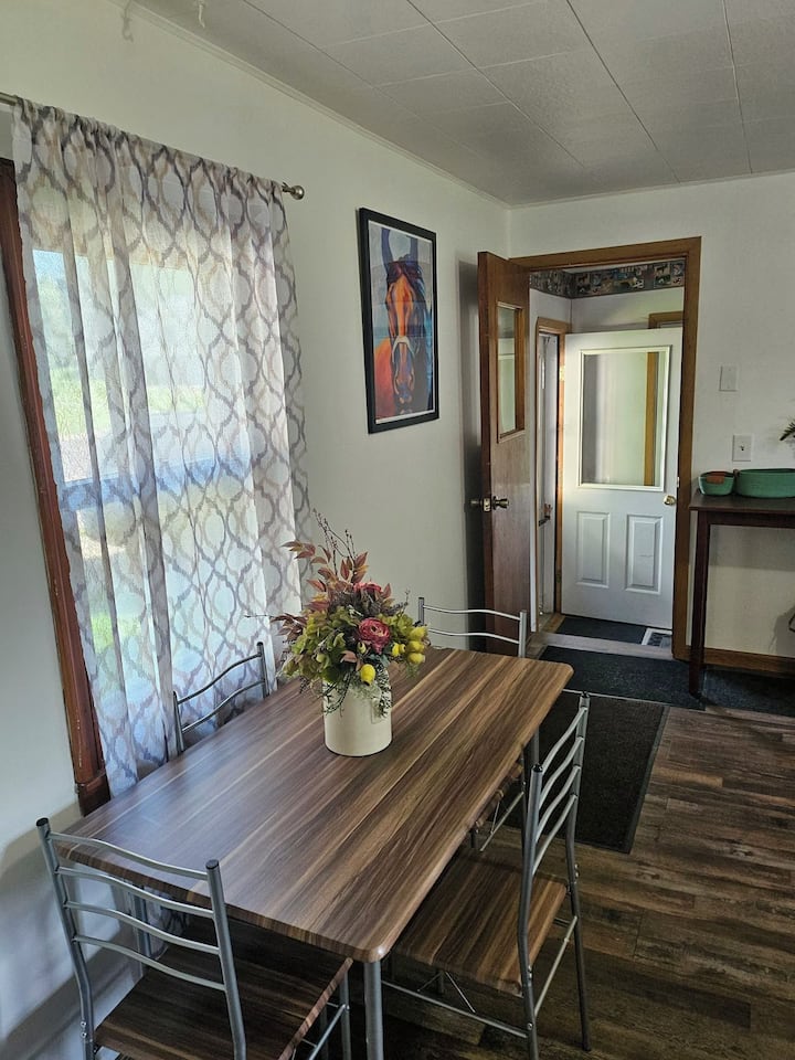 Pet-friendly Home In Downtown Balaton - The Lakes, MN