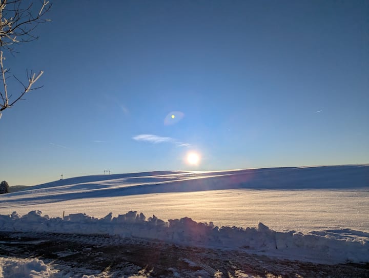 Ferienwohnung Bahr (300861) - Schopfheim