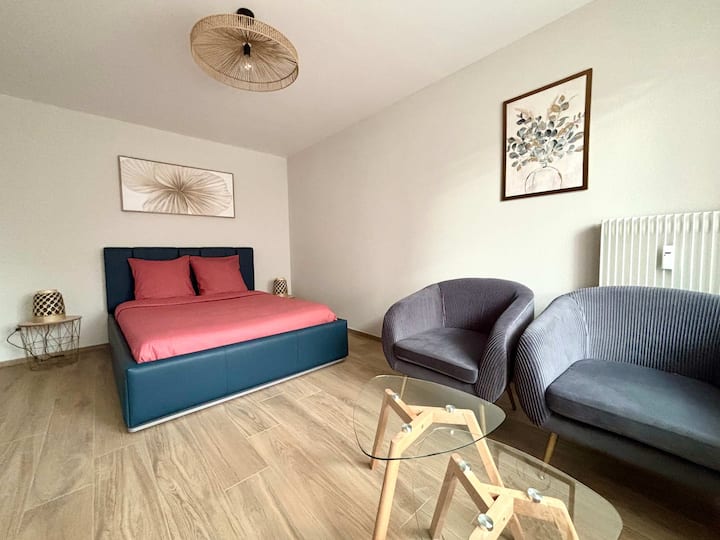 Stylish Apartment Just 1 Min From Basel - Basel