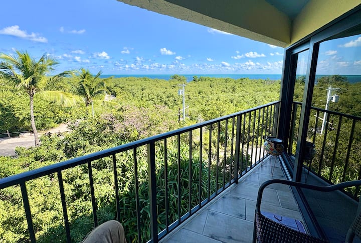 Sunset, Top Floor, Ocean Front Views Condo - Key Largo, FL