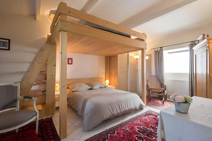 Gite La Maison Des Tortues - Saint-Sébastien-sur-Loire