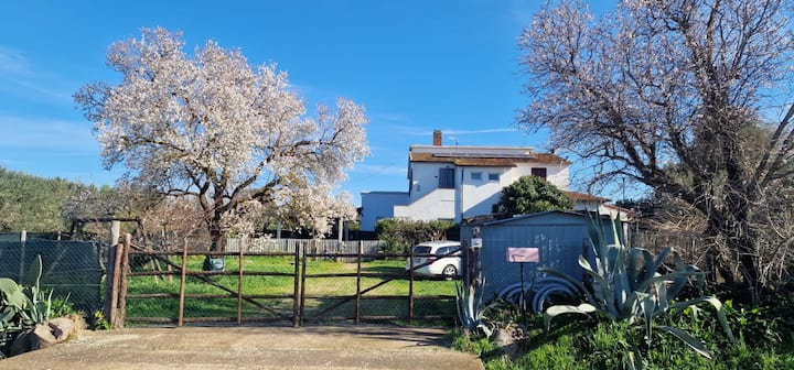 Country Road Take Me Home - Montalto di Castro