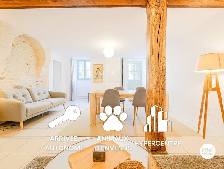 Le Cavalier : T2, Charme, Historique, Pet-friendly - Tours