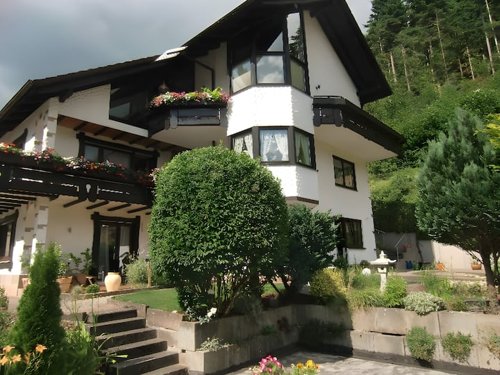 Ferienwohnung Uli Schätzle - Hornberg