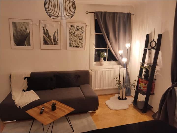 Faraway Homes Studio Enns #14 - Enns