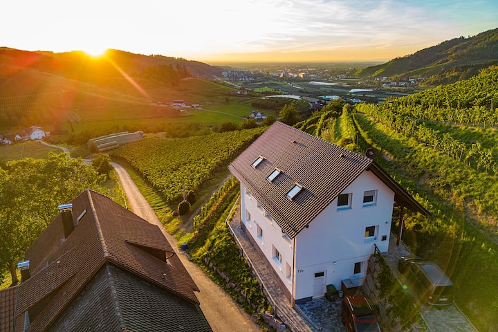 Paradieshof - Oberkirch