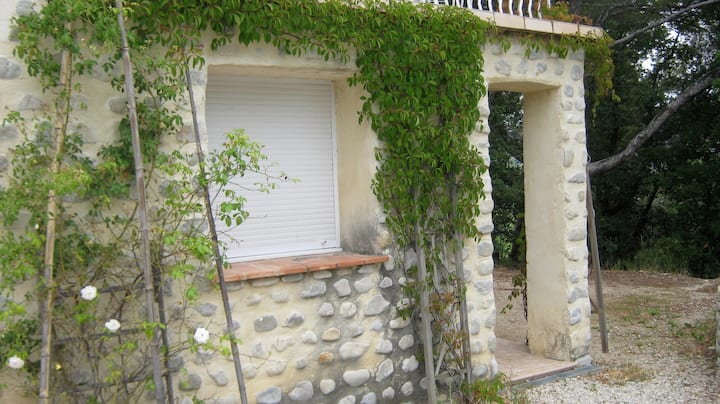 Gite Du Petit Bois - Bignone - Visan