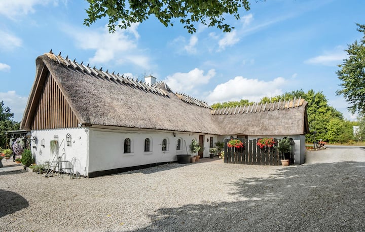 Beautiful Apartment In Tommerup - Odense