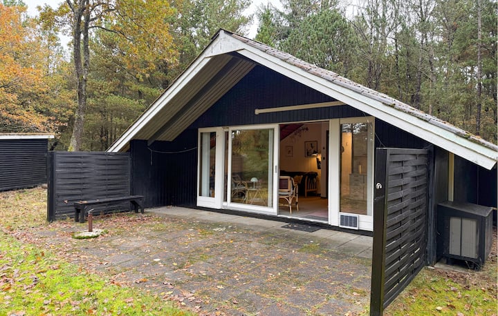 Pet Friendly Home In Oksbøl With Wifi - Blåvand