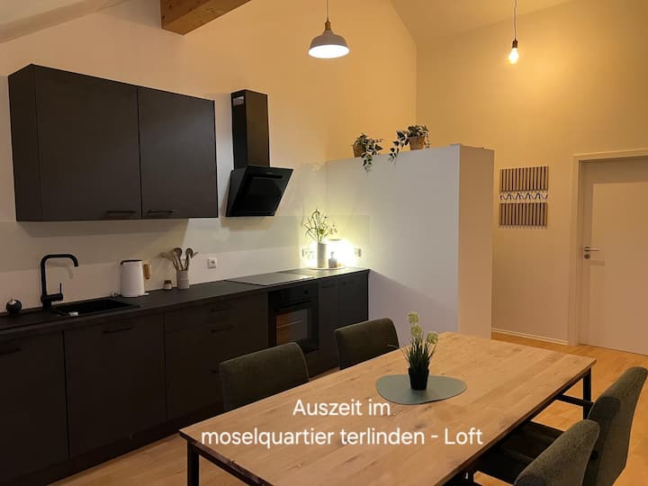 Moselquartier Terlinden- Loft - Mondorf-les-Bains