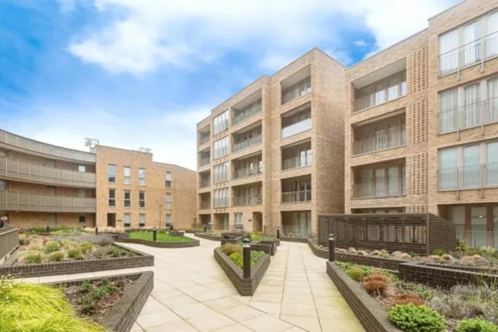 Newbury Racecourse Apartment - Newbury