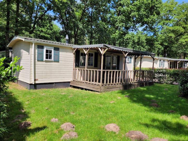 Chalet Spring Voor 6 Personen | Resort De Heimolen - Hoogstraten