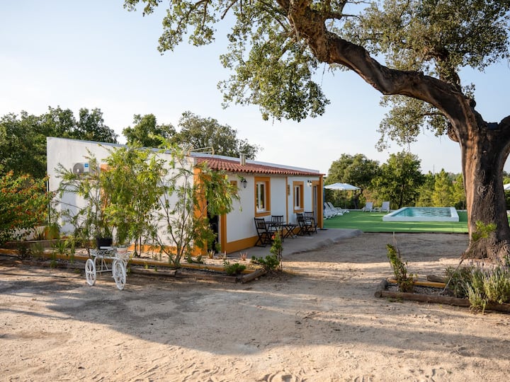 Paço No Monte | Vila Oliveira By Stay Ici - Montargil