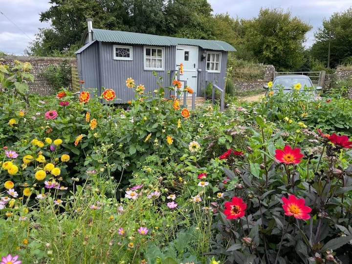 Hut - Sleeps 2 - Petworth House 10 Minutes - Midhurst