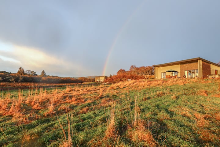Red Squirrel - Dornoch