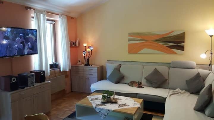 Fpf-05, Ferienpark Im Schönen Falkenstein (1) - Falkenstein