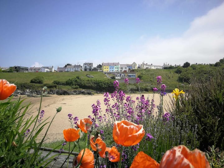 Maison-famille-salle De Bain Privée-vue Plage-glan - Aberporth