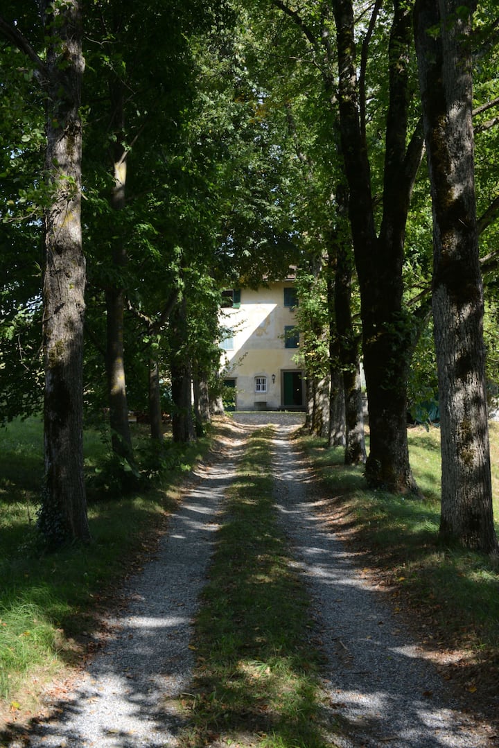 Montesoro Historic Country House - Cogoleto