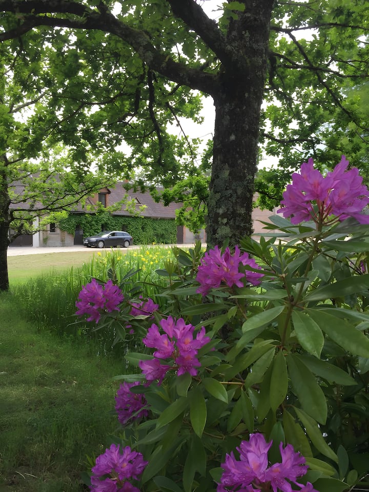 Le Pré Des Fées - Salbris