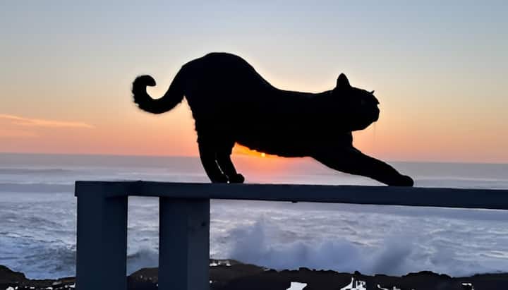 Oceanfront Bliss At Cape Perpetua - Yachats, OR