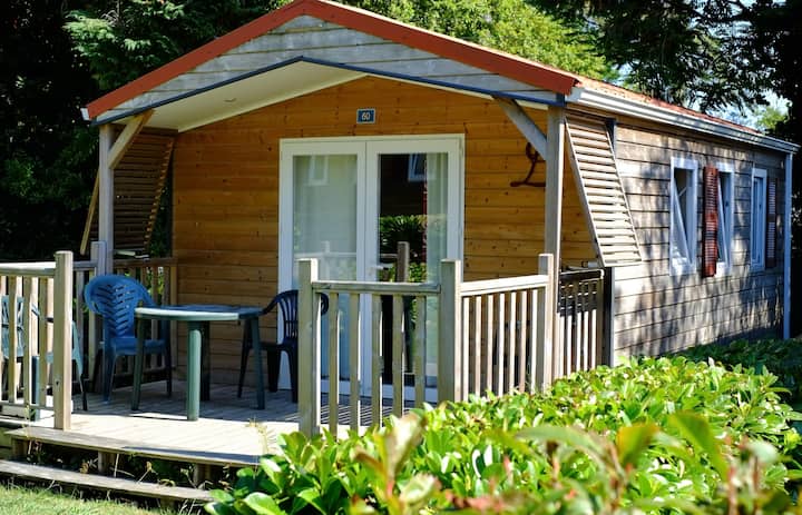 Bela - Confort 1 Tv - 3p - Bidart