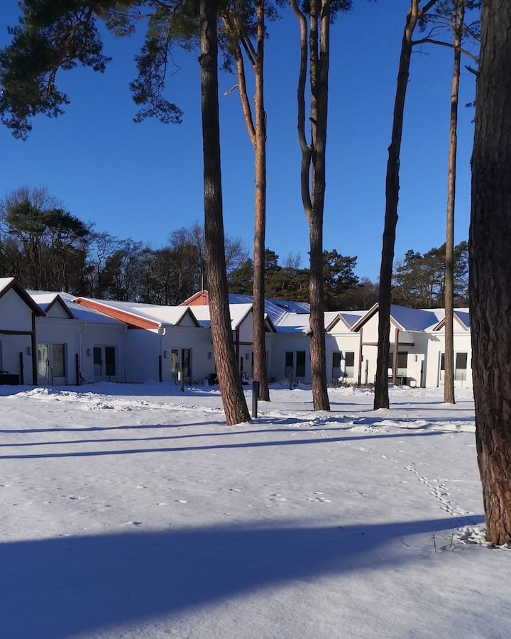 Ostseetraum - Prerow