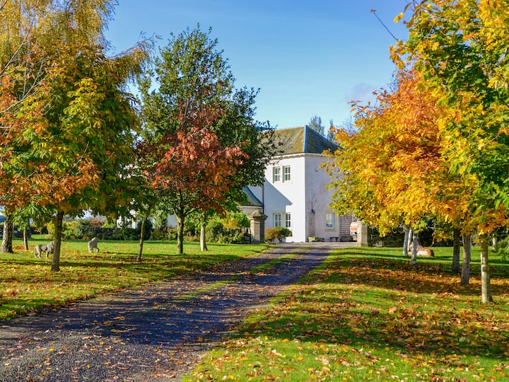 Grange Of Berryhill - Uk41534 - Dundee
