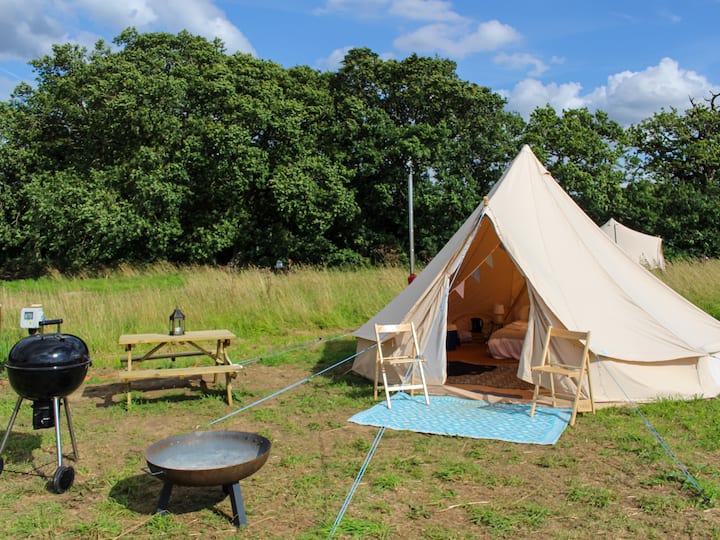 Bluebell - Uk51167 - Cromer