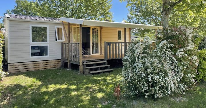 Mobil Home 2 Chambres Confort Clim 4/5 Pers - Sisteron