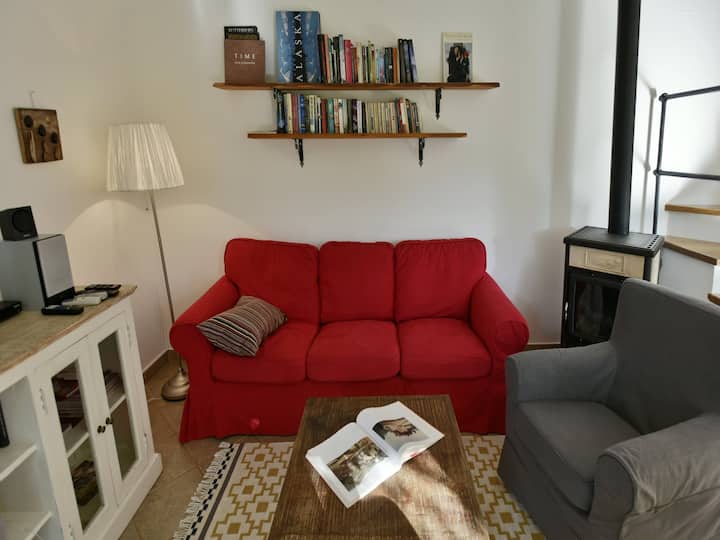 Villa à Dol Avec Piscine Et Jardin D'oliviers 6 - Postira