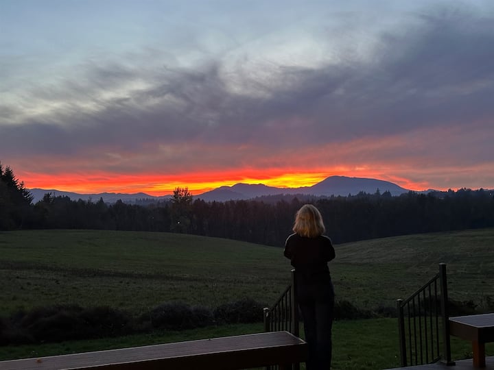 Lookout- Epic Views, Close To Osu, Quiet - Corvallis, OR