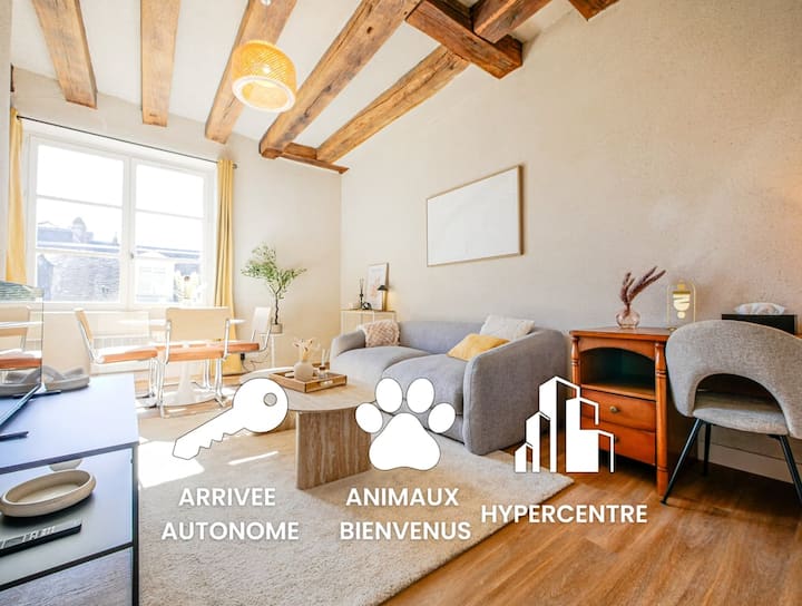 Le Caniche : T2, Pierres & Poutres, Pet-friendly - Tours