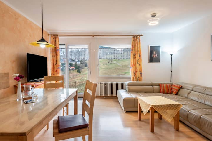 Fichte, 78qm, Terrasse - Todtnau