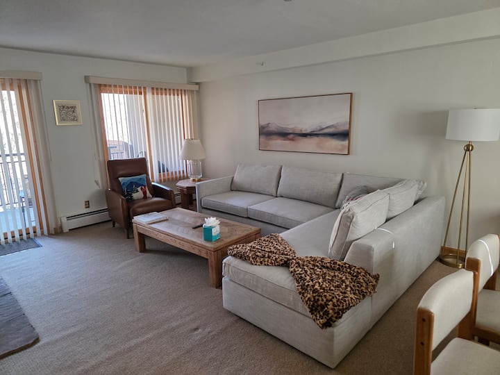 Lovely Condo Only 1 Mile To Slopes On Free Bus. - Vail, CO