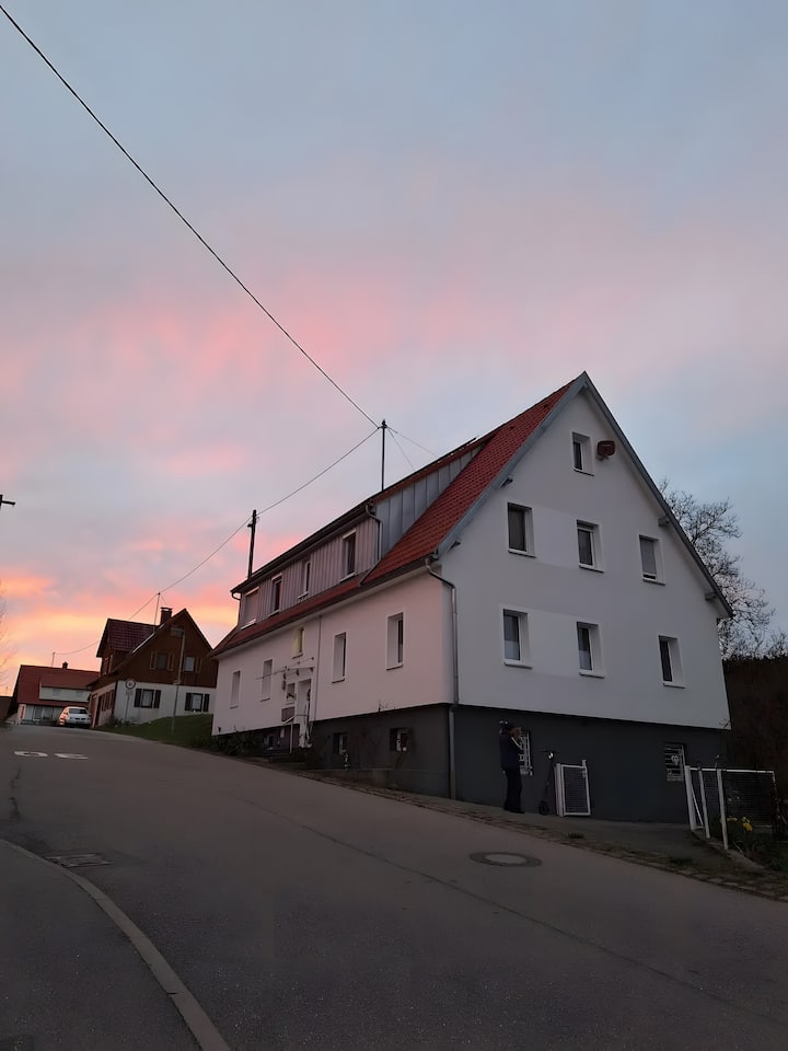 Ferienwohnung Zum Schwarzwaldfrosch - Freudenstadt