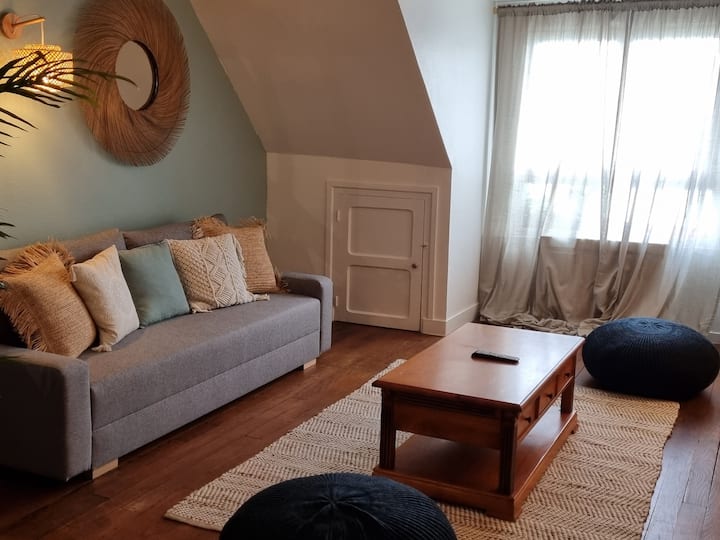 Joli Appartement Cosy, Face Au Port - Camaret-sur-Mer