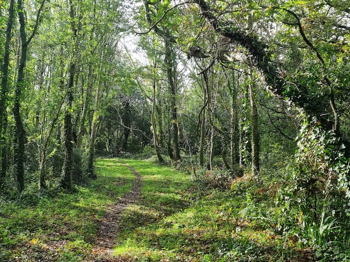 Le Fret, Entre Nature Et Mer - Crozon