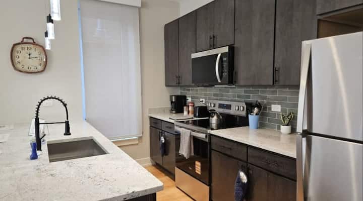 Renovated 3 Bedroom Chicago Downtown Pilsen - Chicago, IL