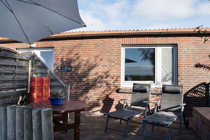 Sanddorn - Borkum