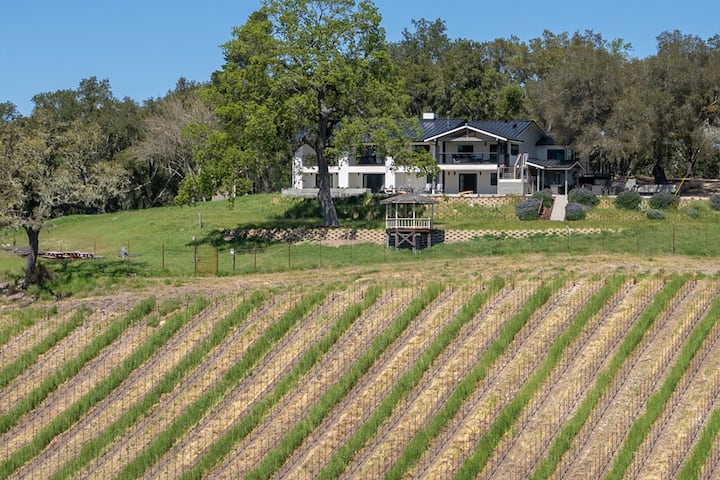 Oak & Vine Vineyard House | Sleeps 21 | Views - Cayucos, CA