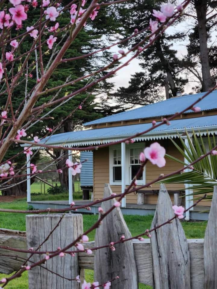 Foleys Run - Portland