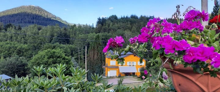 Gîte-forestier-du-moulin 10 Pers - Hattigny