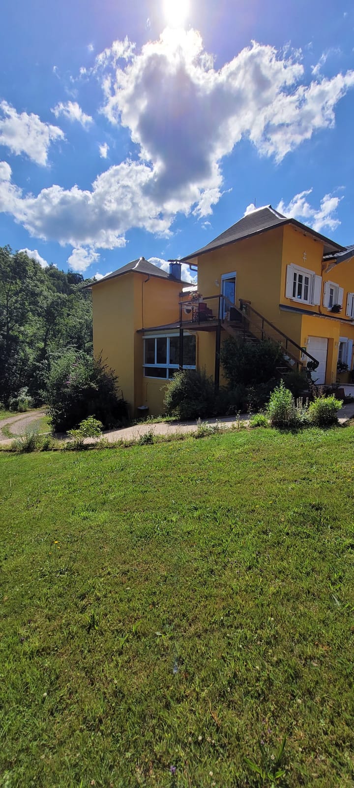 Gîte Forestier Du Moulin - 10 Pers - Belmont, France
