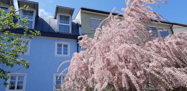 Pension Elisabeth Gmbh Doppelzimmer Gemeinschafts - Salzbourg