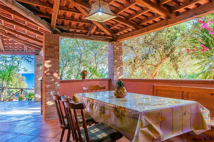 Il Carrubo - Casa Vacanze Villa Clelia - Casal Velino