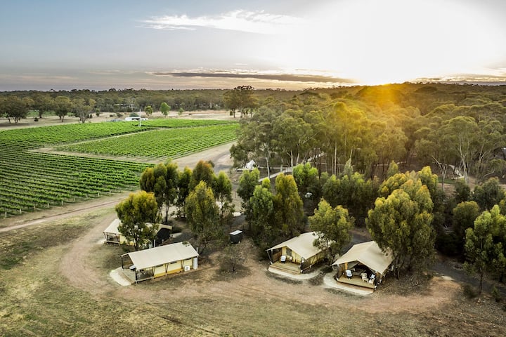 Bushland Safari Tent I Solterra & Vine - Bendigo