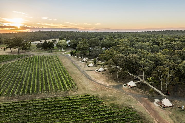 Forest Hideaway I Bell Tent I Solterra & Vine - Bendigo